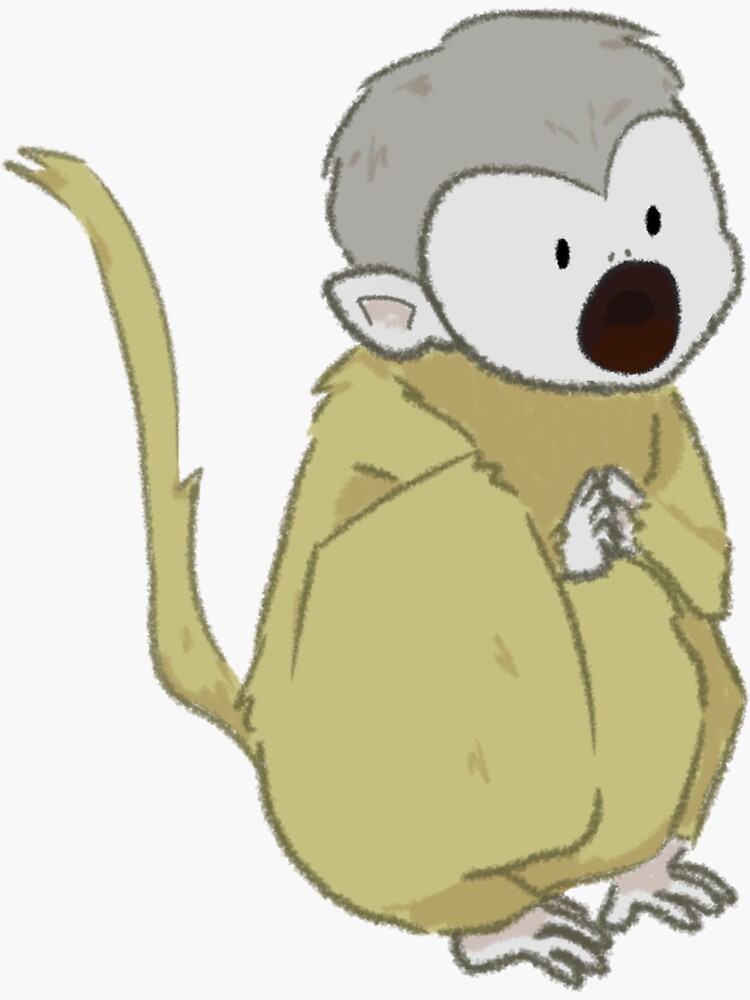 "pog squirrel monkey" Sticker for Sale by mitavery | Redbubble