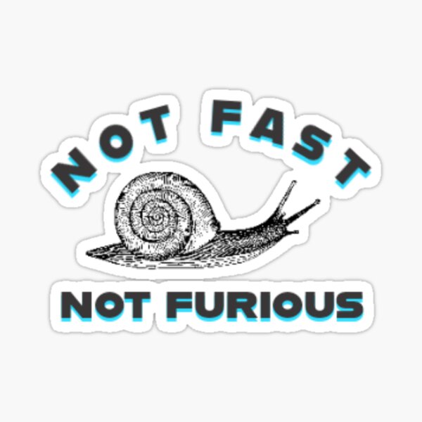 "Not fast not furious " Sticker for Sale by nvossku | Redbubble