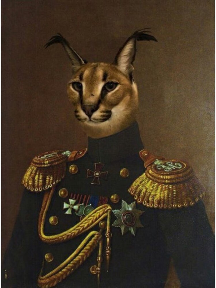 "Floppa Fanter" Sticker for Sale by acman | Redbubble