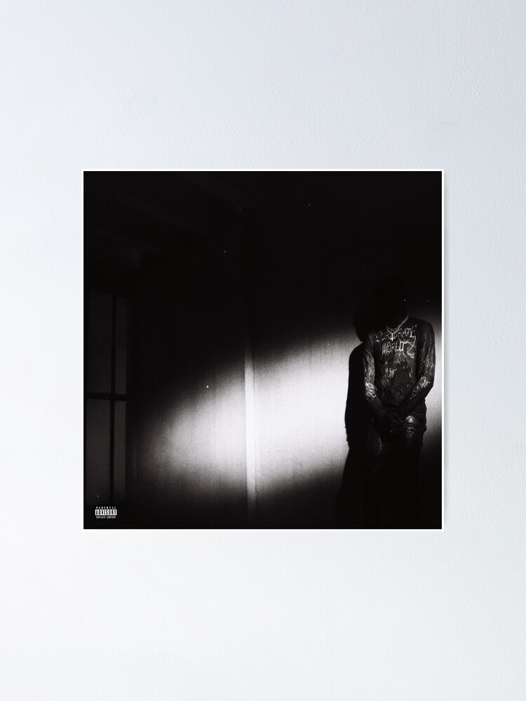 "No Stylist" Poster for Sale by gainesystore | Redbubble