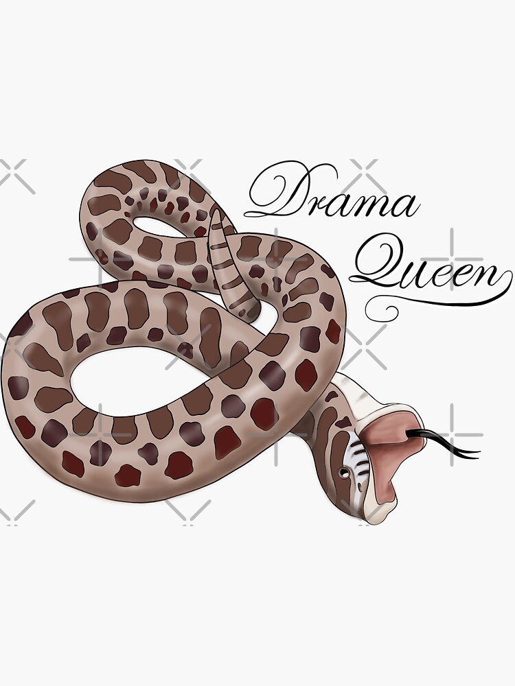 "Drama queen of snakes" Sticker for Sale by ReptilesAreRad | Redbubble
