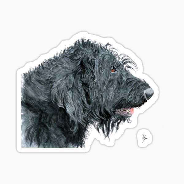 "Black Labradoodle" Sticker for Sale by Skosty75 | Redbubble