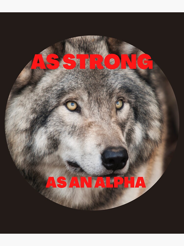 "As strong as an alpha, as strong as a wolf, alpha strong" Sticker for ...