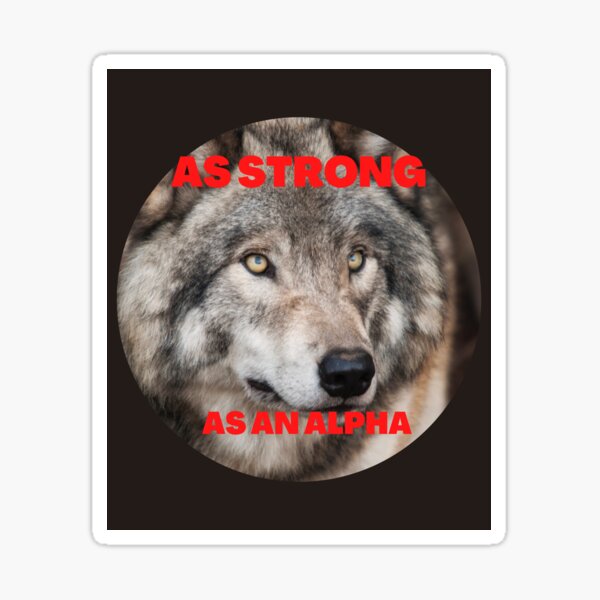 "As strong as an alpha, as strong as a wolf, alpha strong" Sticker for ...