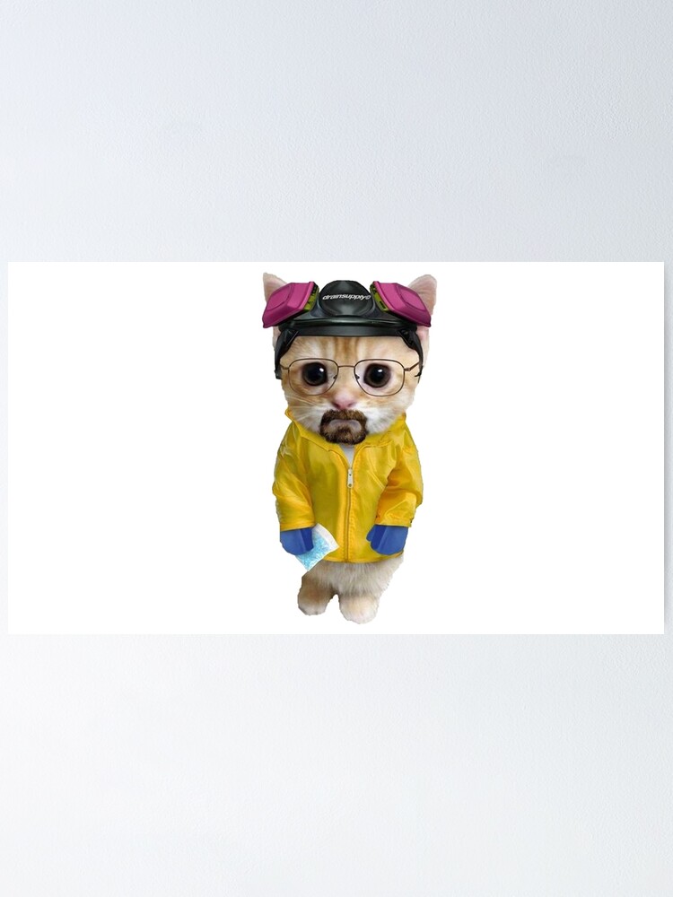 "Breaking Bad Heisenberg Cat Meme" Poster for Sale by watlerwhite ...