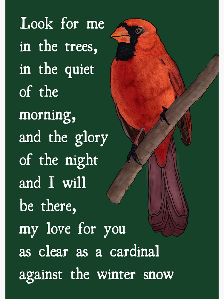"Loved One Cardinal Condolence Message and Illustration" Sticker for ...