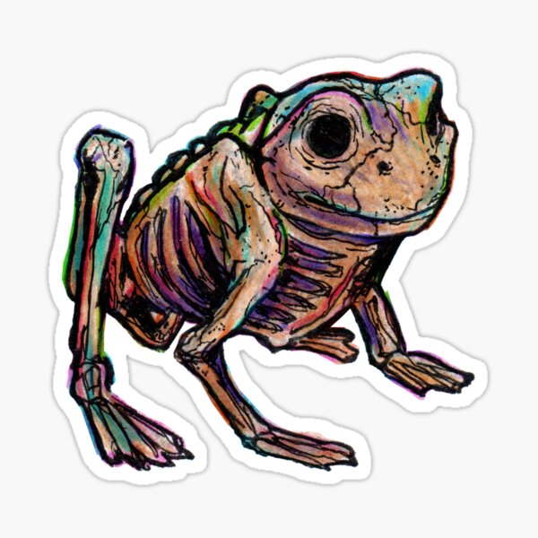 "Skeleton Frog " Sticker for Sale by ReeAXE | Redbubble