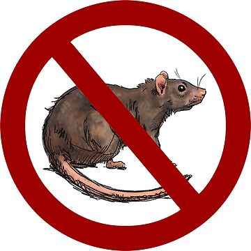 "no rats allowed" Sticker for Sale by bapsi | Redbubble