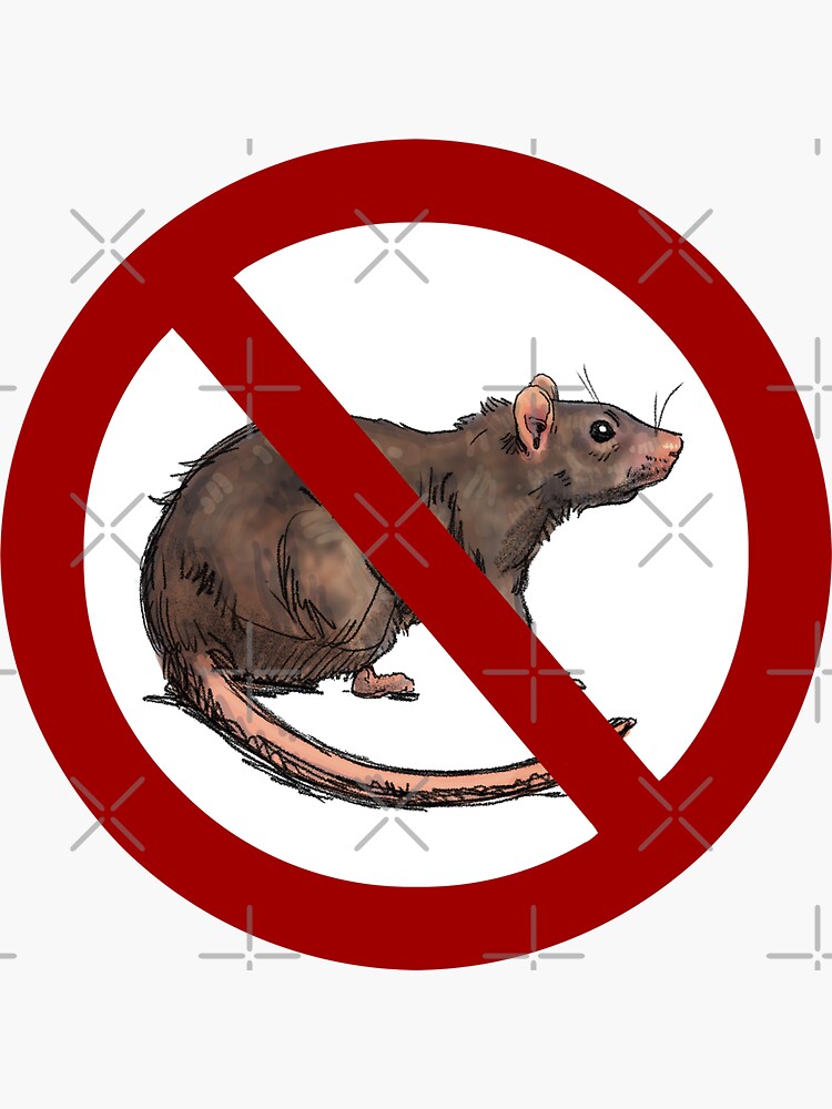 "no rats allowed" Sticker for Sale by bapsi | Redbubble