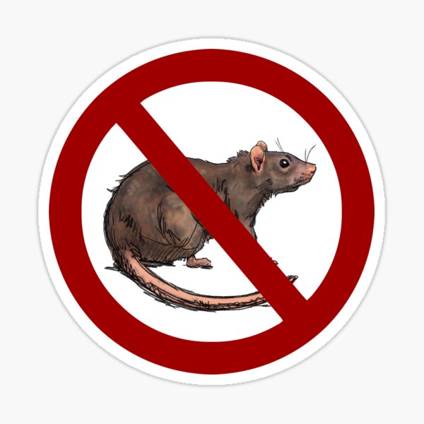 "no rats allowed" Sticker for Sale by bapsi | Redbubble