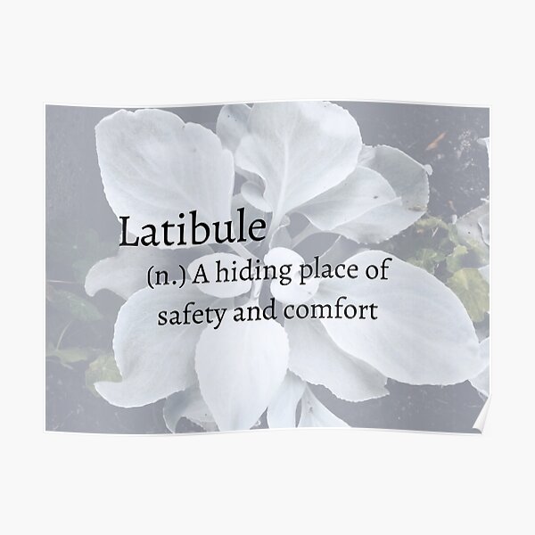 "Aesthetic word Definition" Poster for Sale by xxUniverse777 | Redbubble