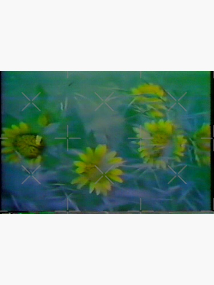 "Sunflower retro VHS" Sticker for Sale by brussouilisse | Redbubble