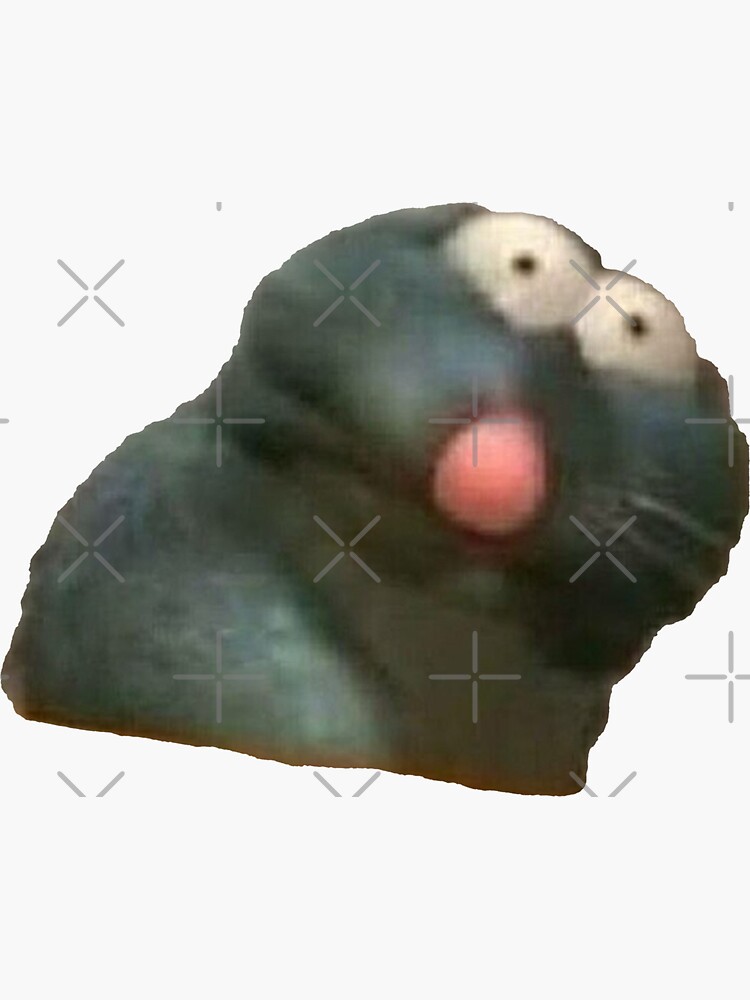 "Sick Remy the Rat Meme" Sticker for Sale by marnilauren | Redbubble