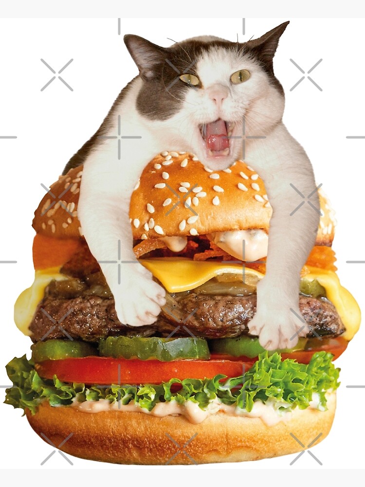 "Funny burger cat, Hamburger Cat" Poster for Sale by HosArtShop | Redbubble