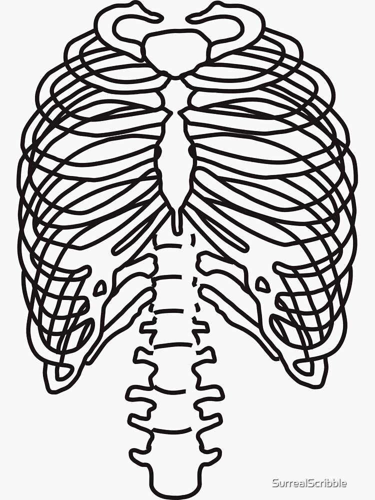 "Ribcage And Spine transparent" Sticker for Sale by SurrealScribble ...