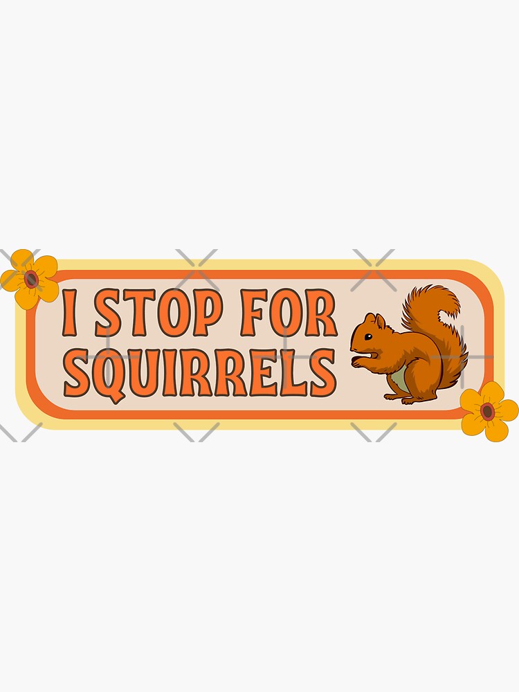 "I Stop for Squirrels, Cute Squirrel Bumper " Sticker for Sale by yass ...