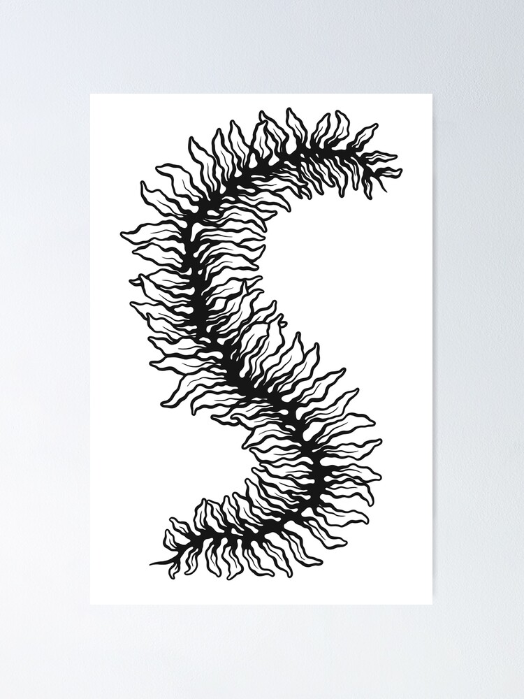 "Black and white Plants" Poster for Sale by renatokolberg | Redbubble