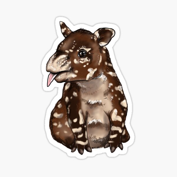 "Cute Baby Tapir" Sticker for Sale by jessvaluchart | Redbubble