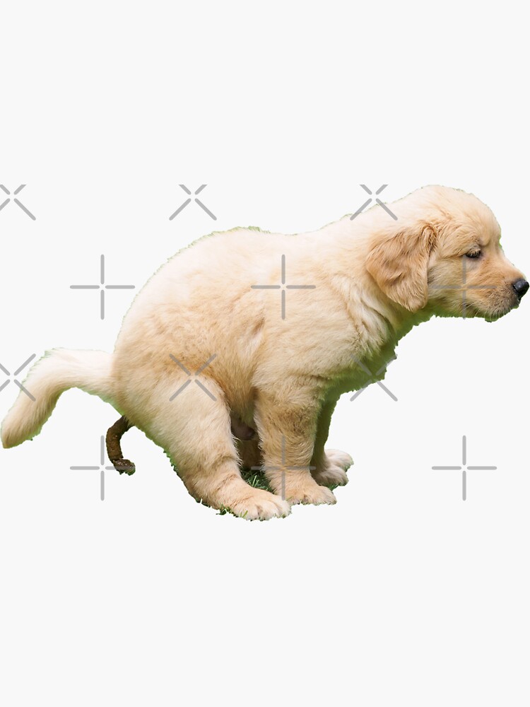 "pooping animals, Funny Pooping Dog T-Shirts" Sticker for Sale by ...