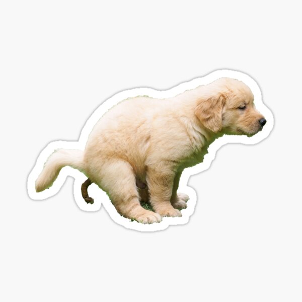 "pooping animals, Funny Pooping Dog T-Shirts" Sticker for Sale by ...