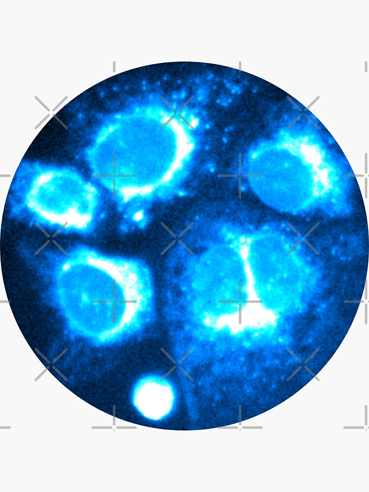"Art and Science Neon blue fluorescent cells biology design" Sticker ...
