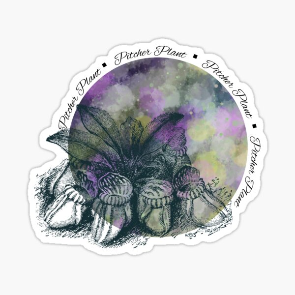 "PITCHER PLANT GAB" Sticker for Sale by GoMoni | Redbubble