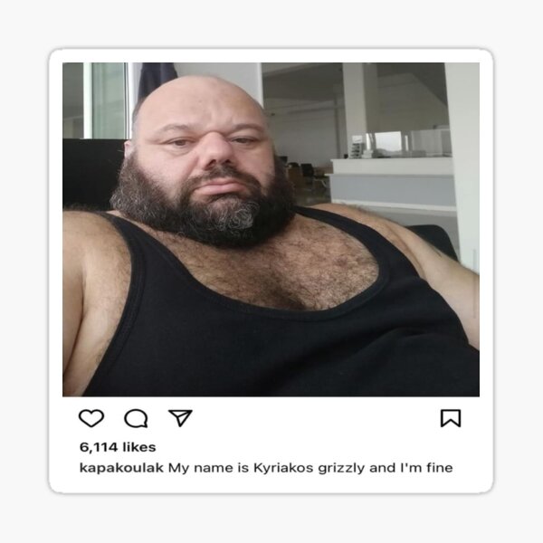 "Kyriakos Grizzly is fine" Sticker for Sale by VarietyProducts | Redbubble