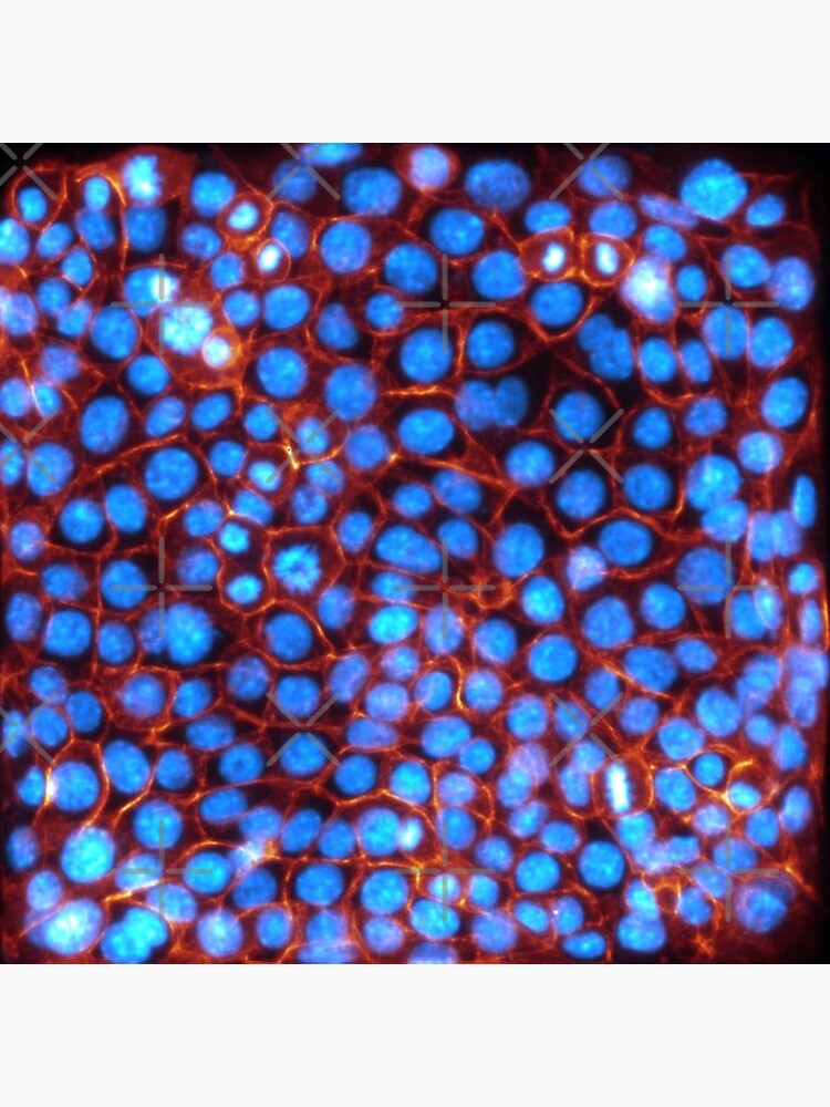 "Red, White, and Blue Neon Cell Art " Poster for Sale by ArtByScience ...