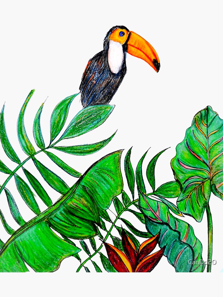 "Leaves and Toucan Bird" Sticker for Sale by CanDo20 | Redbubble