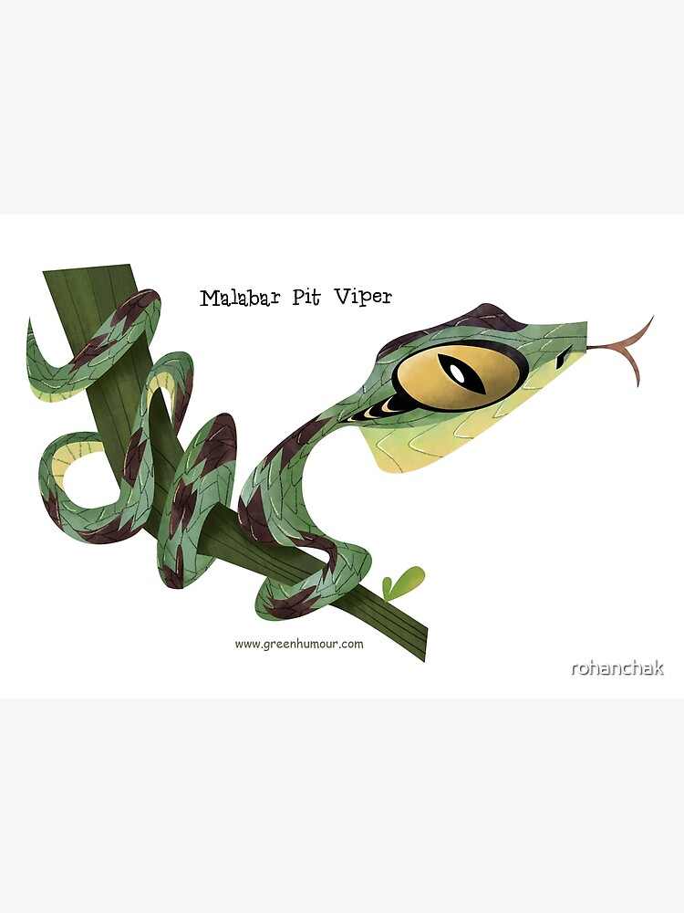 "Malabar Pit Viper" Poster for Sale by rohanchak | Redbubble