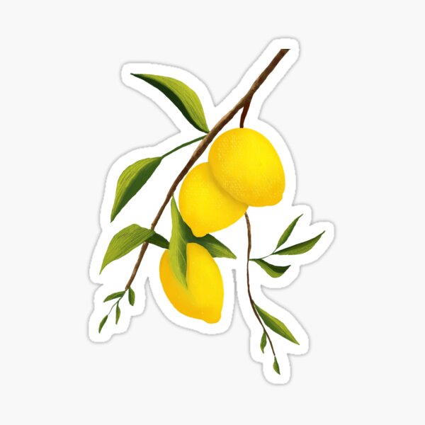 "Lemons on the Vine" Sticker for Sale by sinobcreatives | Redbubble