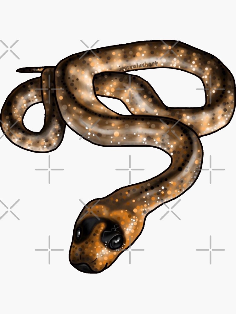 "Cute Woma Python Snake (pink)" Sticker for Sale by jessvaluchart ...