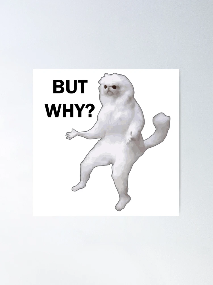 But But Why