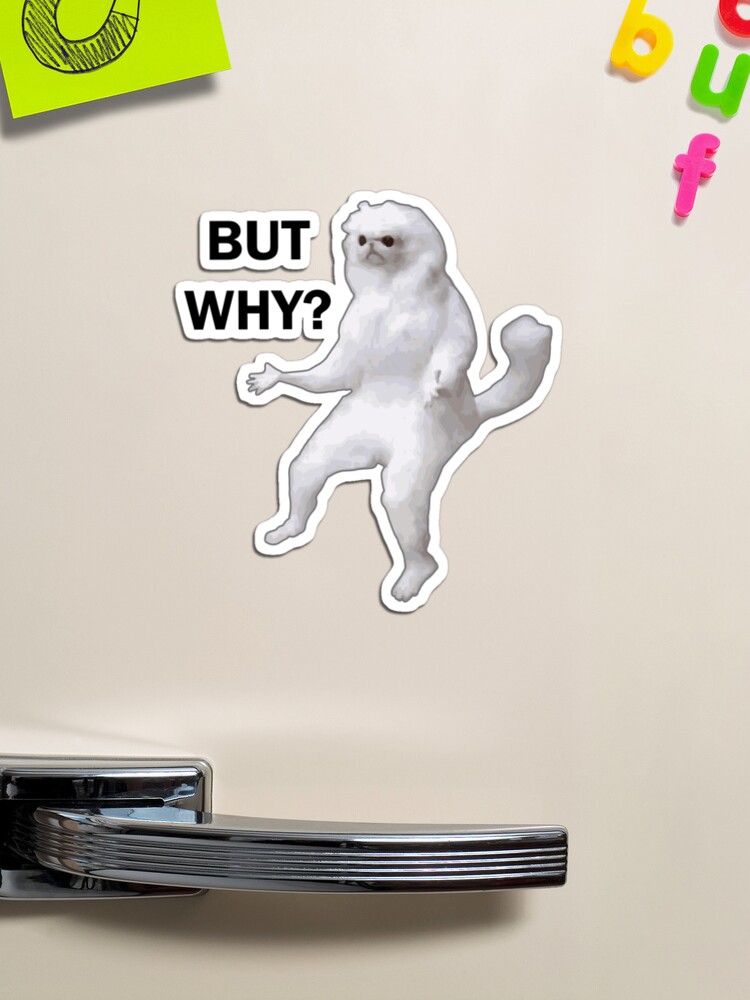 But But Why
