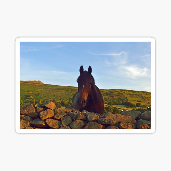 "A Horse is A Horse, of Course, of Course." Sticker for Sale by ...