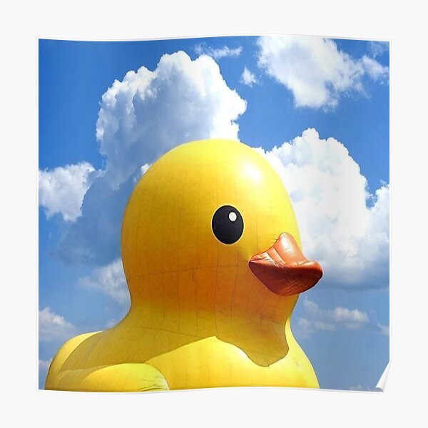 Rubber Duck Posters | Redbubble