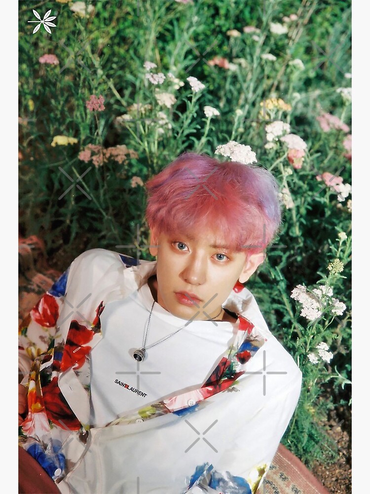 "Chanyeol" Sticker for Sale by baekgie29 | Redbubble