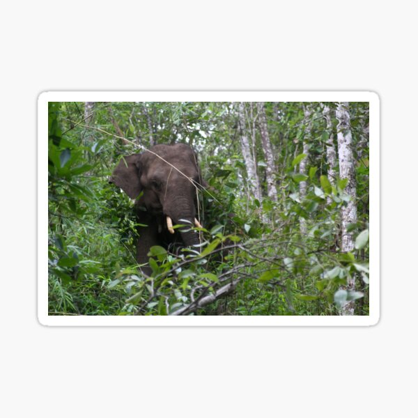 "Dee Dee" Sticker for Sale by halleyrobbins | Redbubble