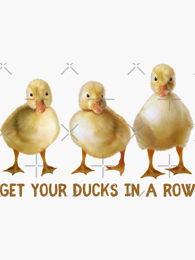"Ducks doing cute things - Get your Ducks in a Row" Sticker for Sale by ...