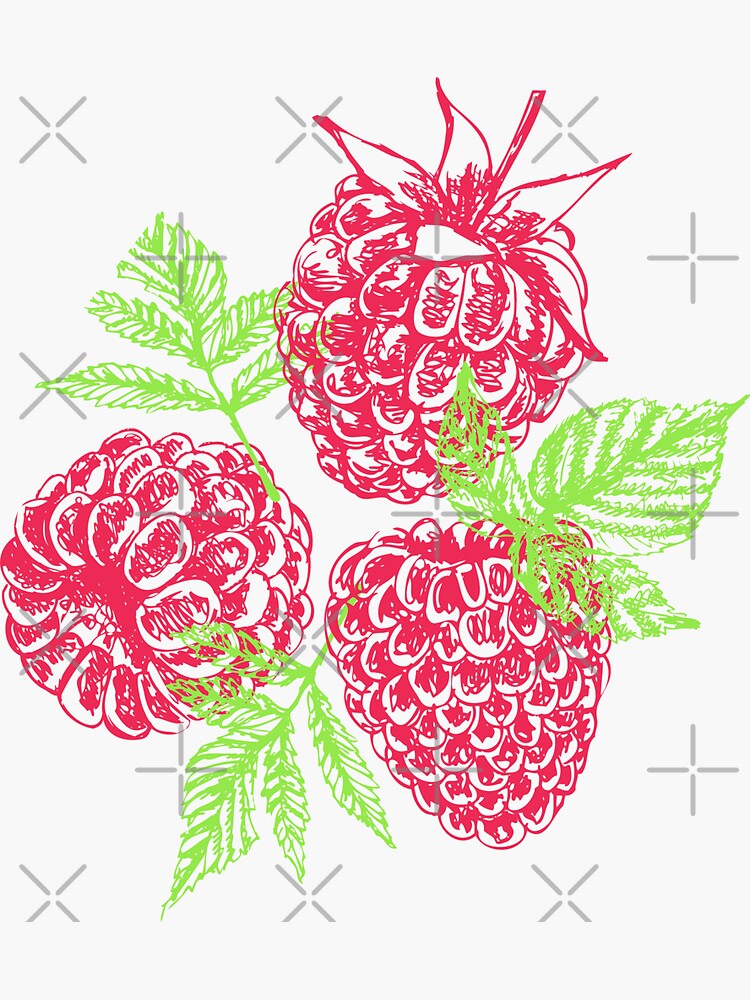 "Cute raspberry pattern." Sticker for Sale by Ireneart369 | Redbubble