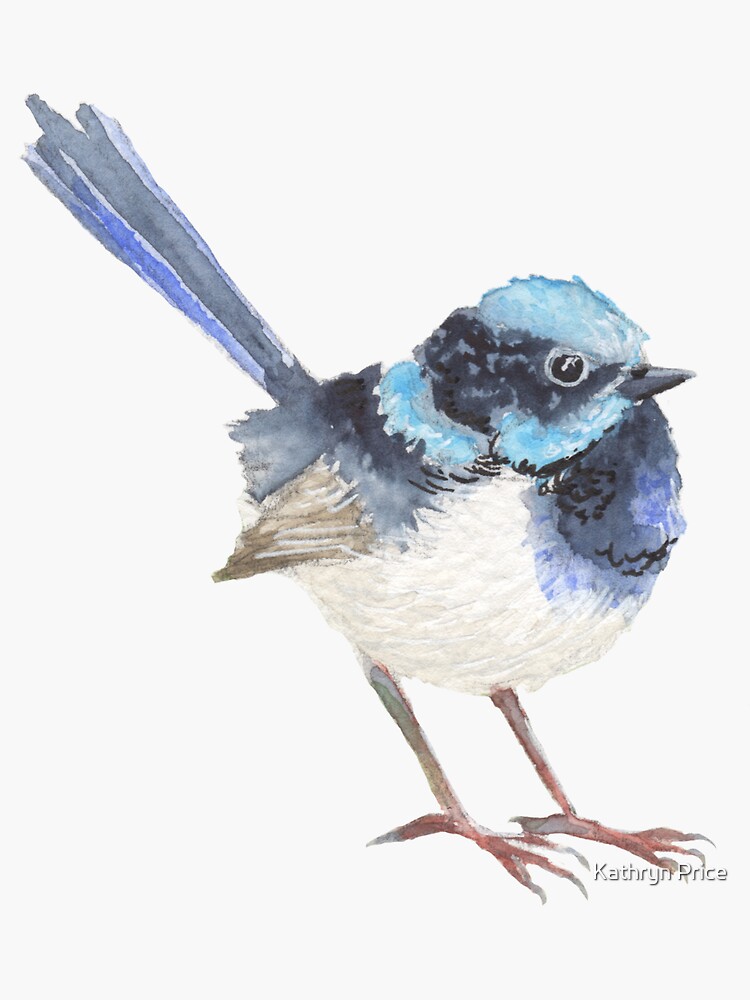 "Superb Fairy Wren" Sticker by KathrynKathryn | Redbubble