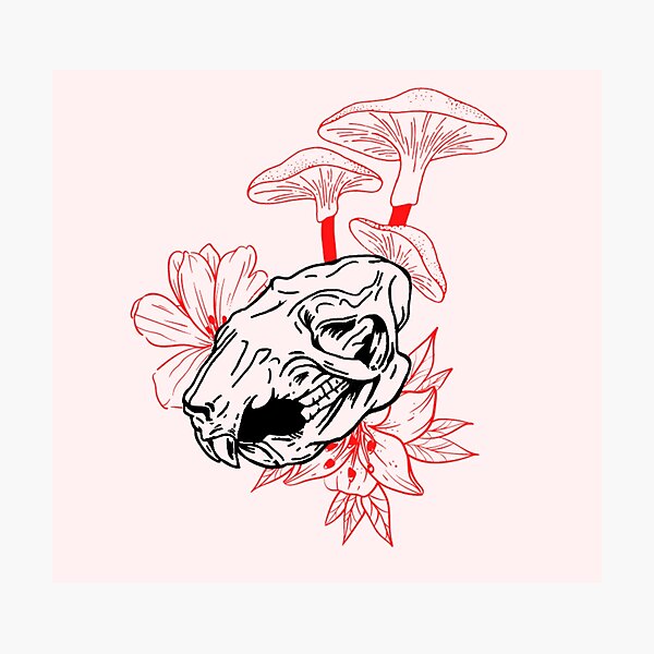 Lámina fotográfica «Cráneo de roedor de rata ratón con flores y hongos ...