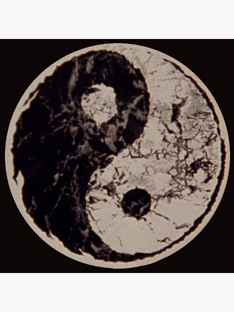 "Psych - Yin Yang Symbol" Poster for Sale by like-islands | Redbubble