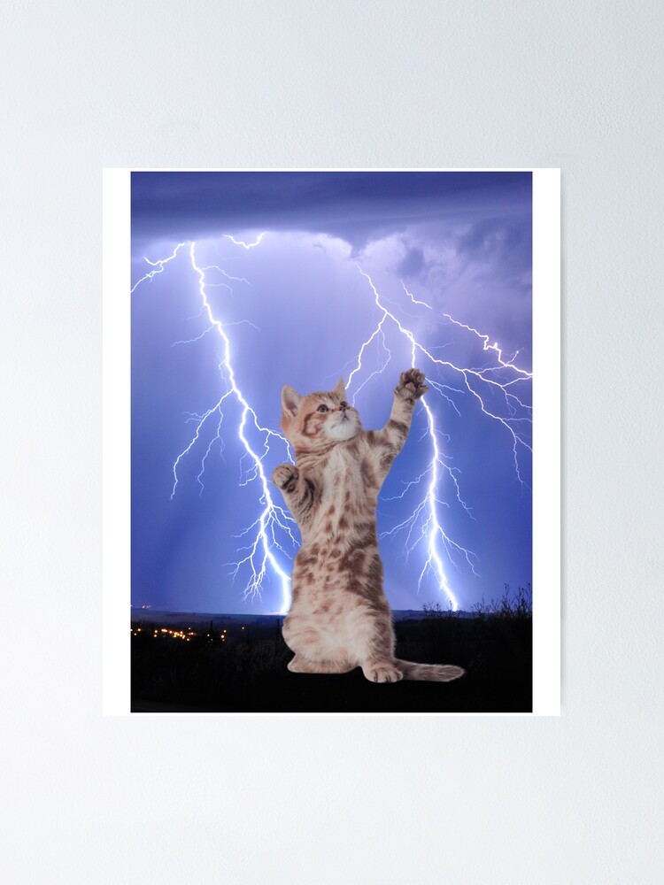 "Cute Cat Lightning" Poster for Sale by ASMAET | Redbubble