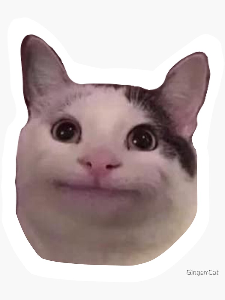 "Happy Cat Meme" Sticker for Sale by GingerrCat | Redbubble