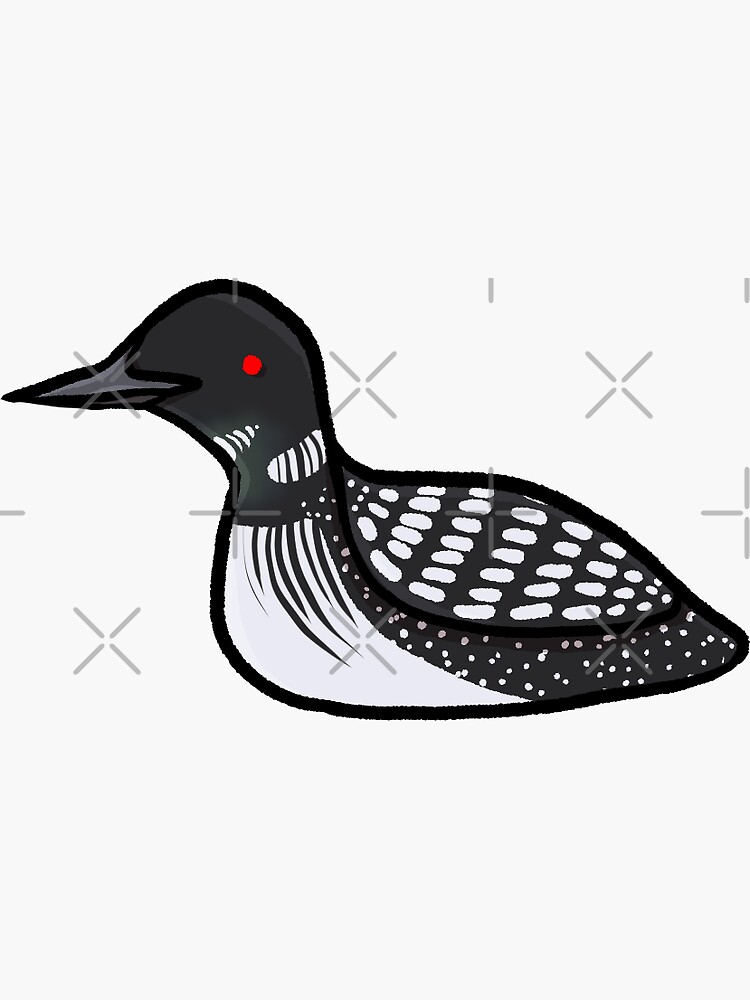 "Lovely Little Common Loon" Sticker for Sale by SydneyMaeBee | Redbubble