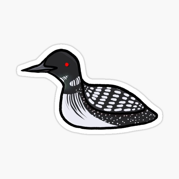 "Lovely Little Common Loon" Sticker for Sale by SydneyMaeBee | Redbubble