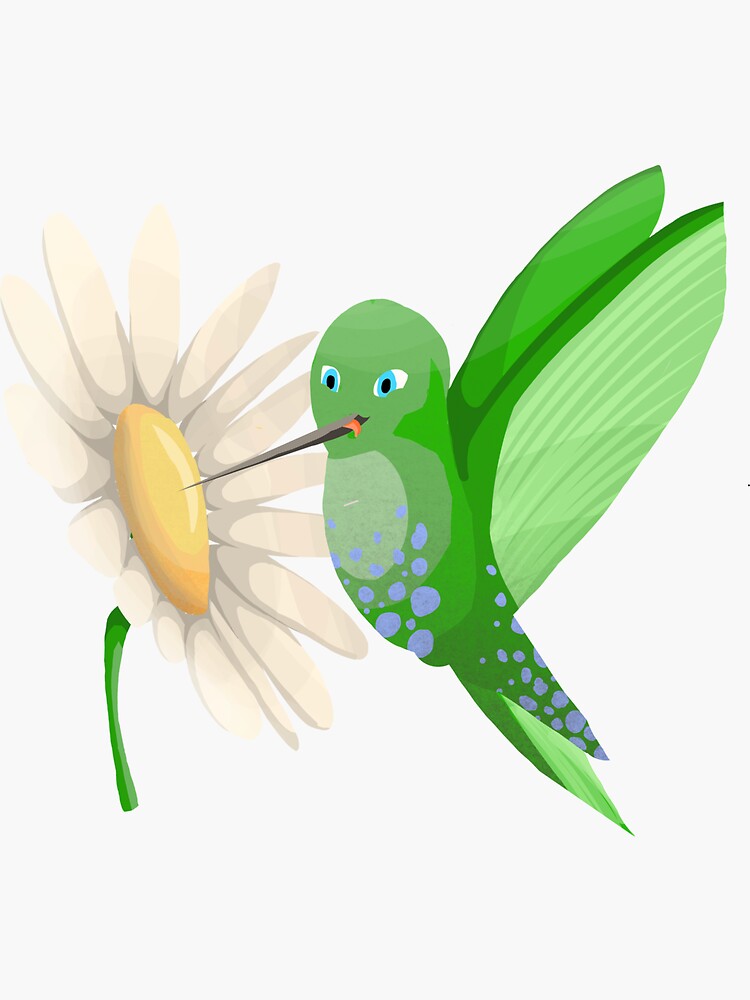 "Colibri and daisy" Sticker for Sale by Littlemushroomp | Redbubble