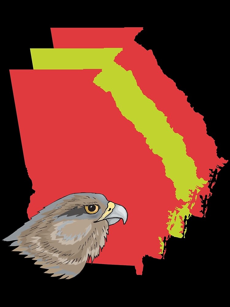 "Georgia Border, Hawks" Poster for Sale by LatterDaze | Redbubble