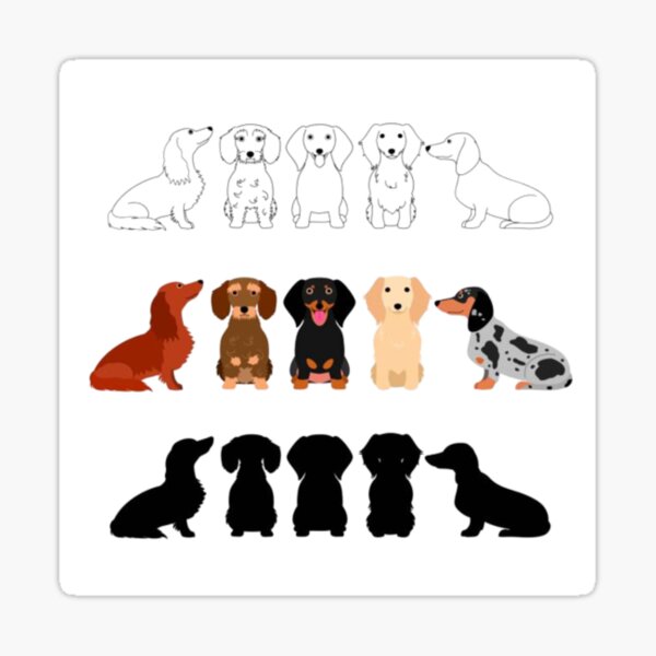 "dozens of dogs" Sticker for Sale by Wienerful | Redbubble